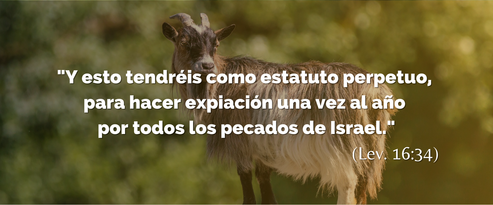 Meditación Bíblica para Levítico 16 • Iglesia Reformada Calvary